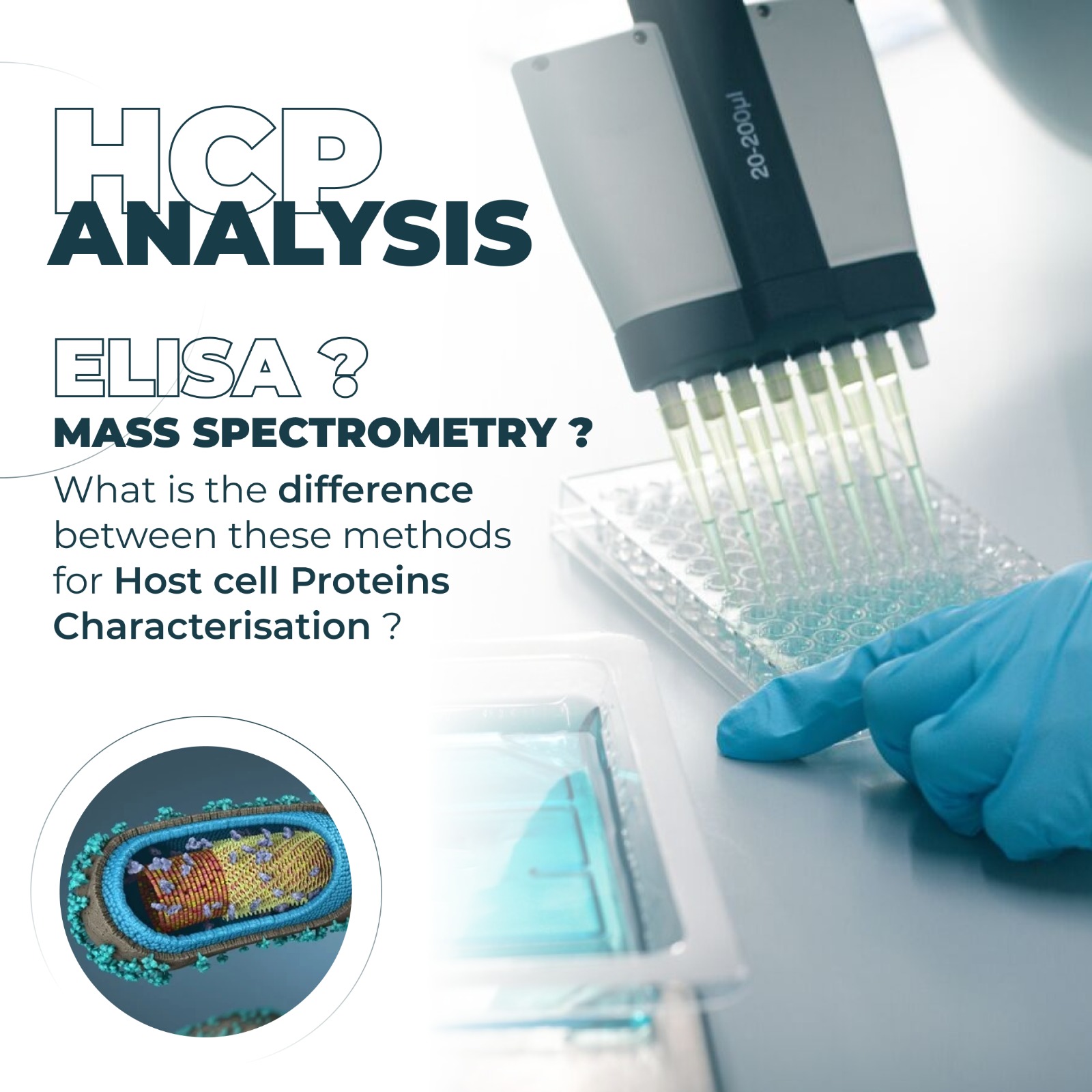 HCP analysis: ELISA or Mass Spectrometry | Anaquant HCP analysis I Protein characterisation I ...