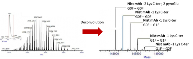 Intact Mass Analysis of a monoclonal Antibody | Anaquant HCP analysis I Protein characterisation ...