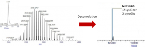 Intact Mass Analysis of a monoclonal Antibody | Anaquant HCP analysis I ...