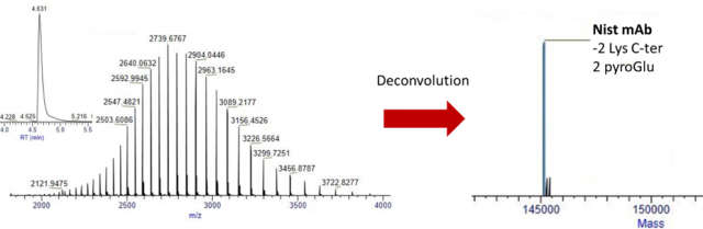 Intact Mass Analysis of a monoclonal Antibody | Anaquant HCP analysis I ...