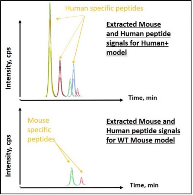 Improved monitoring of human protein expression using humanized mouse ...