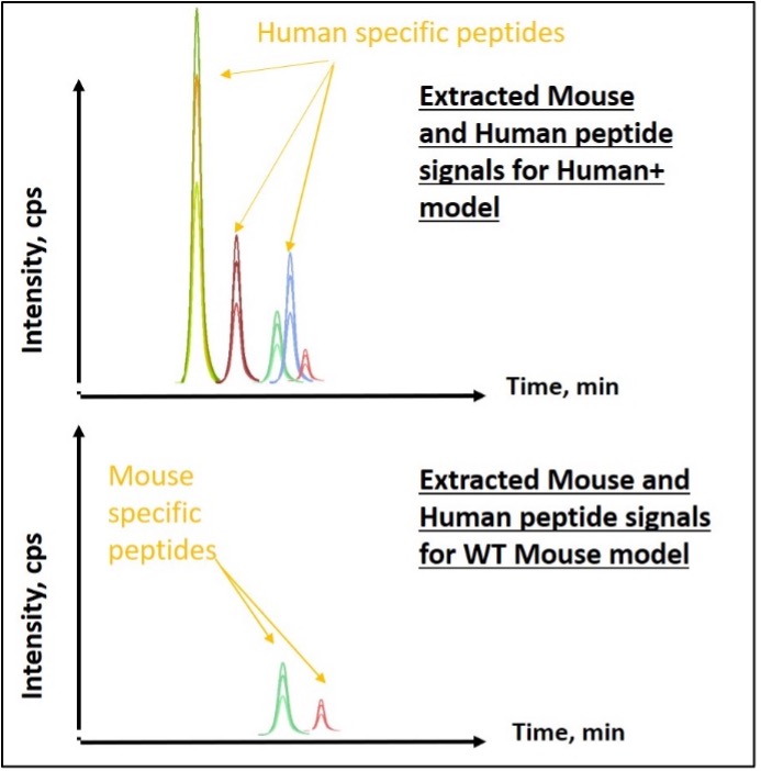 Improved monitoring of human protein expression using humanized mouse ...